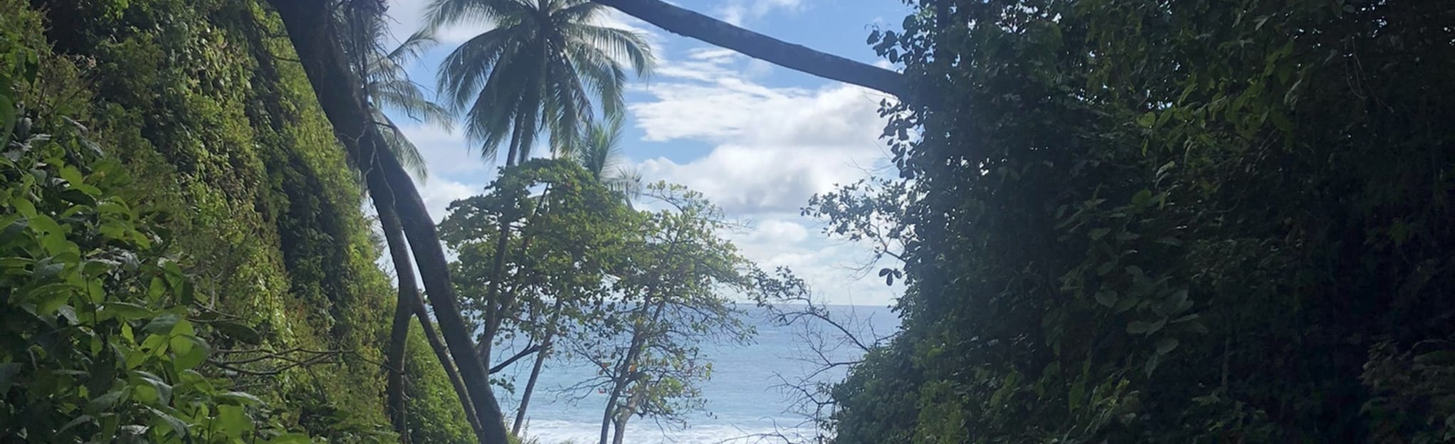 Playa Matapalo: 6 Reviews, Map - Puntarenas, Costa Rica | AllTrails