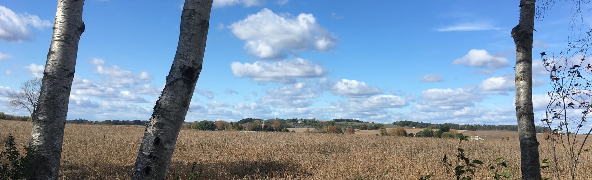 Oak Ridges Moraine Trail: Hamilton Township : 16 Photos - Ontario ...