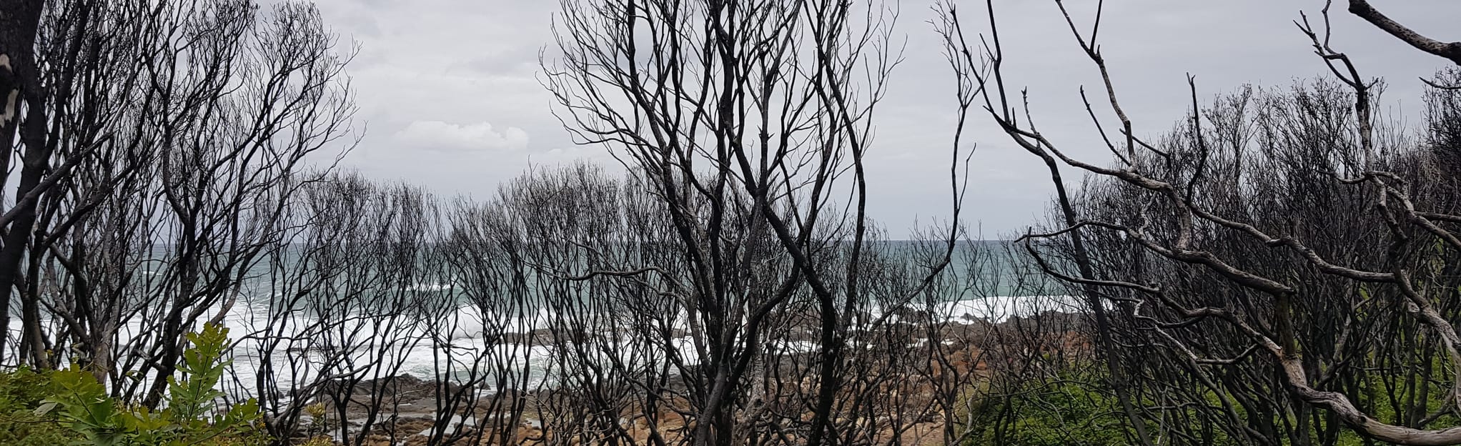 Shipwreck Beach via Pebbly Beach and Heathland Walking Track - Victoria ...