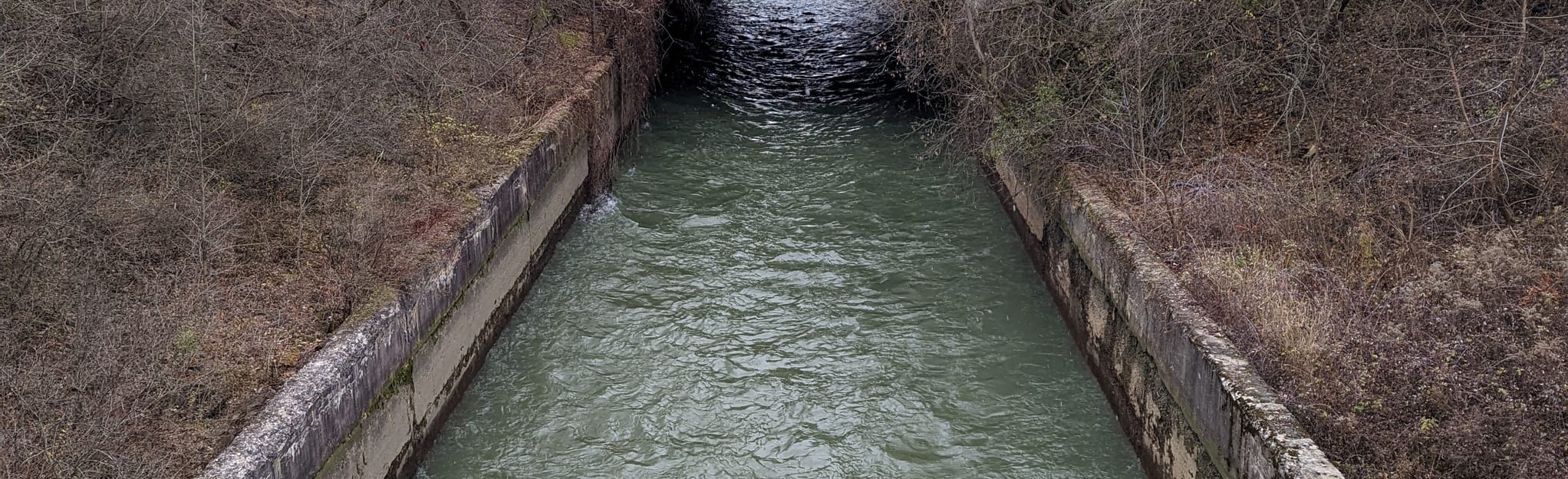 Millennium Trail: John McCall to Whirlpool: 11 Reviews, 179 Photos, Map ...