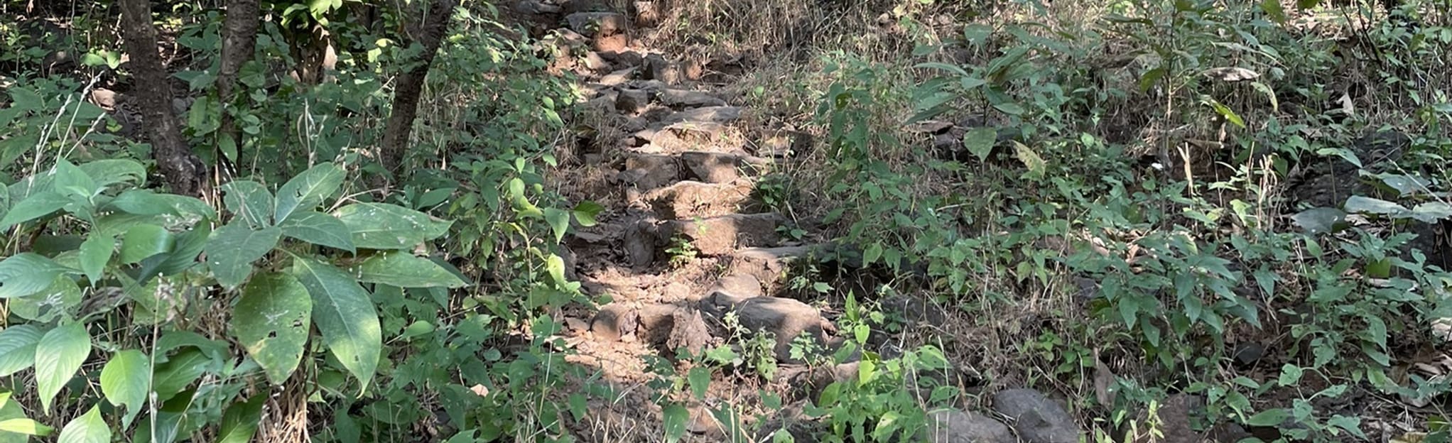 Mulund Peak - Cypress Hills Extended: 5 Reviews, Map - Maharashtra ...