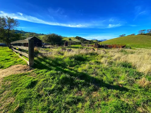 10 Best Hikes and Trails in Morgan Territory Regional Preserve | AllTrails