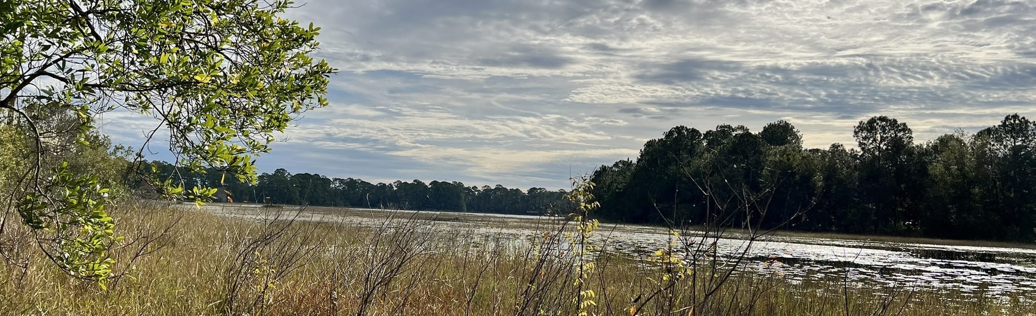 Three Island Lakes Park Loop: 12 foto's - Florida | AllTrails