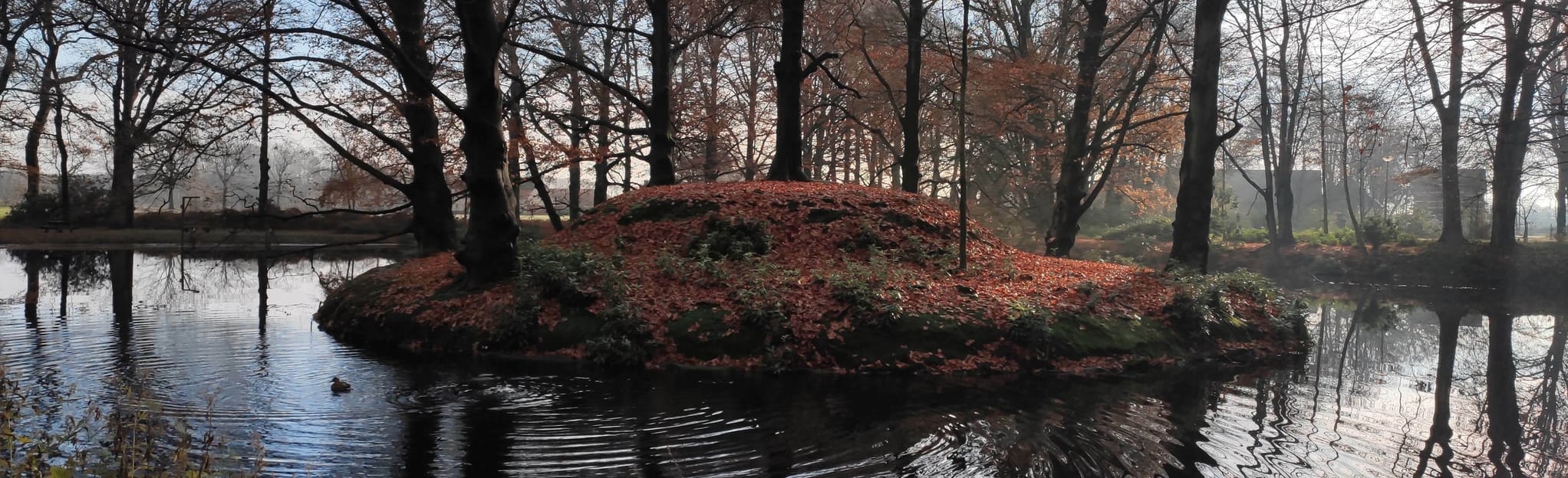 Merksplas - Graafsbos, Antwerp, Belgium - 12 Reviews, Map | AllTrails