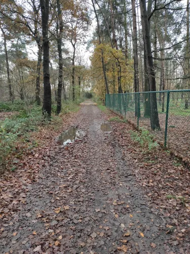 Best Hikes and Trails in Domein Zwart Goor-Rondpunt | AllTrails