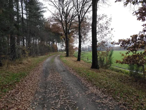 Best Hikes and Trails in Domein Zwart Goor-Rondpunt | AllTrails