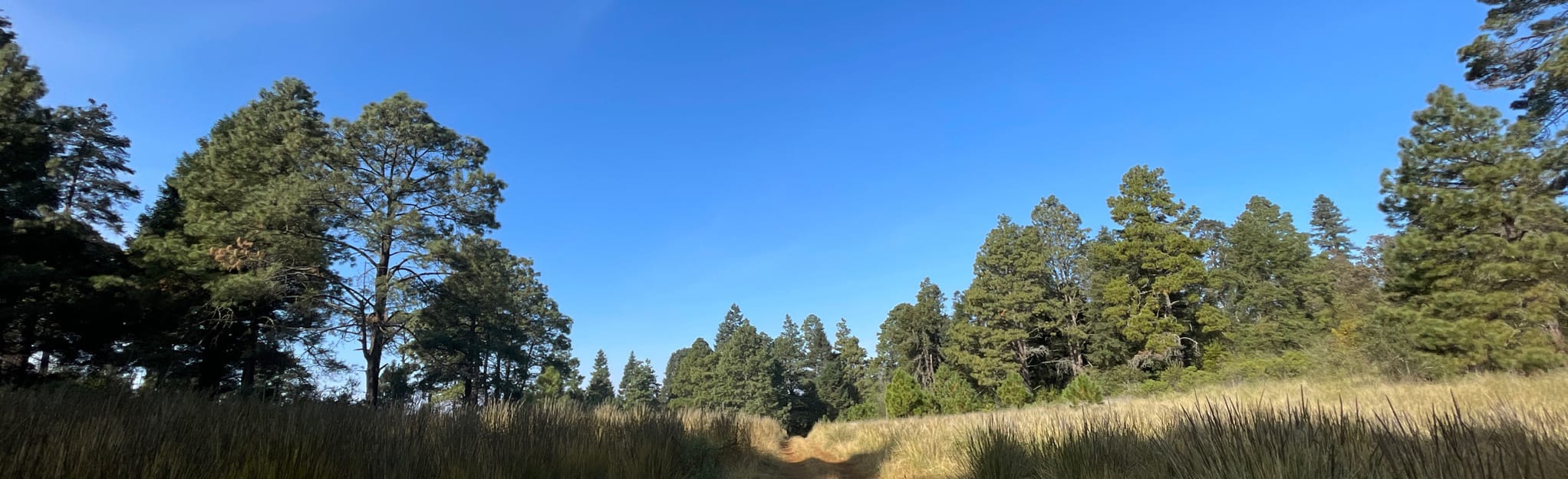 Salazar Cañada de Alferes, México, Mexico - 2 Reviews, Map | AllTrails