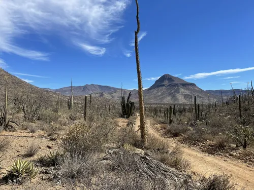 10 Best Off Road Driving Trails in Baja California | AllTrails