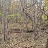Chief Wapello Trail, Iowa - 53 Reviews, Map | AllTrails