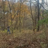 Chief Wapello Trail, Iowa - 53 Reviews, Map | AllTrails