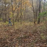 Chief Wapello Trail, Iowa - 53 Reviews, Map | AllTrails