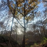 Chief Wapello Trail, Iowa - 53 Reviews, Map | AllTrails