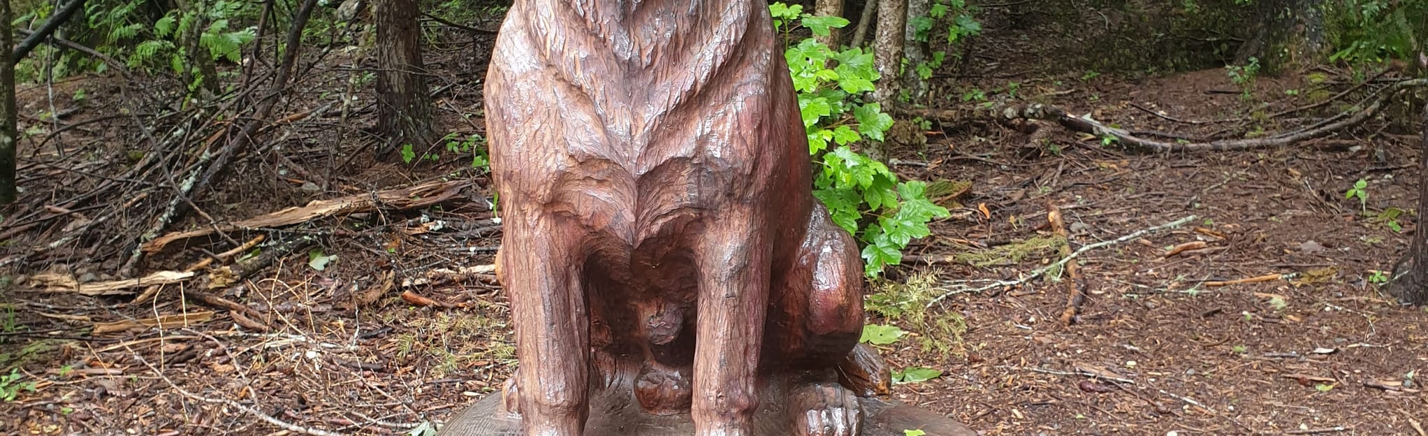 Hanmer Forest Sculpture Walk - Canterbury, New Zealand | AllTrails