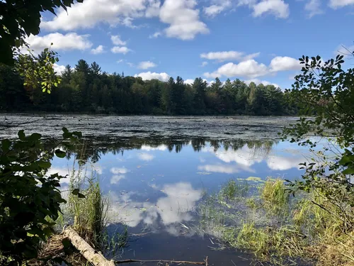 10 Best Walking Trails in Ottawa | AllTrails