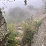 Harihara Betta Trek, Karnataka, India - 10 Reviews, Map | AllTrails