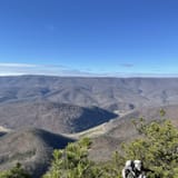 Redman Run Trail, West Virginia - 130 Reviews, Map | AllTrails
