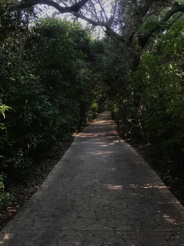 10 Best Trails and Hikes in Miami | AllTrails