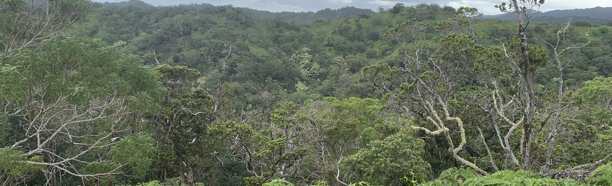 Kalauao Falls Loop Trail | Mapa, Roteiro - Oahu, Hawaii | AllTrails