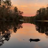 Paris Mountain Short Loop, South Carolina - 337 Reviews, Map | AllTrails