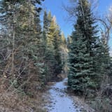 Donner Reed Party and Mormon Pioneer Route (Little Emigration Canyon ...