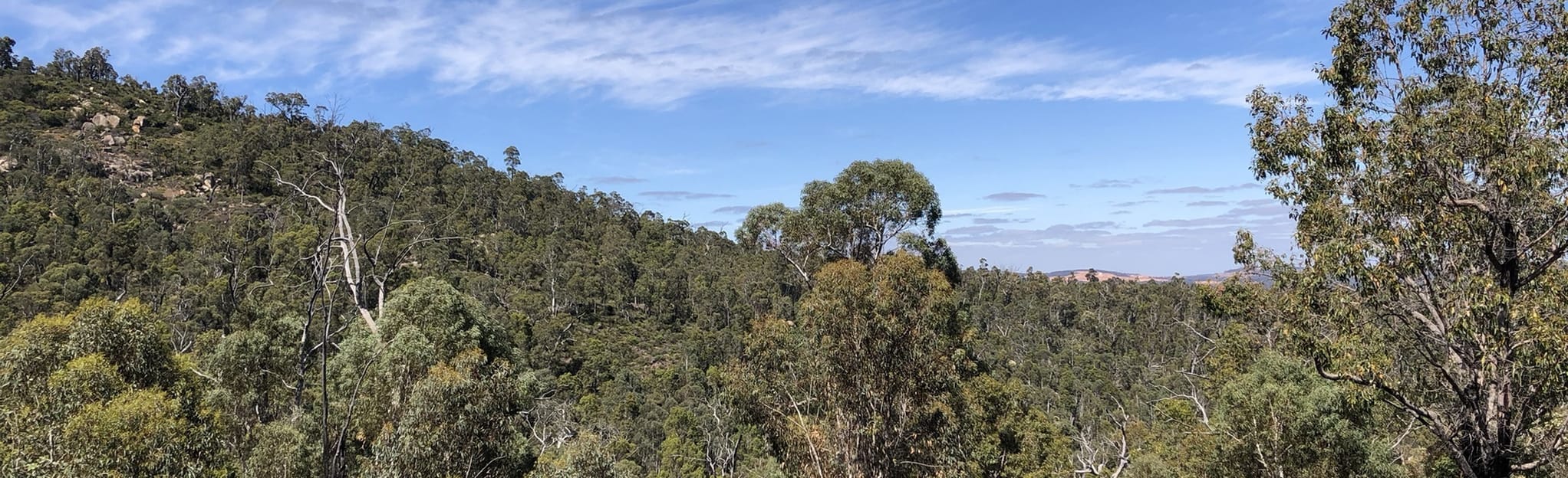 Mount Cooke via Bibbulmun Track: 240 Reviews, Map - Western Australia ...