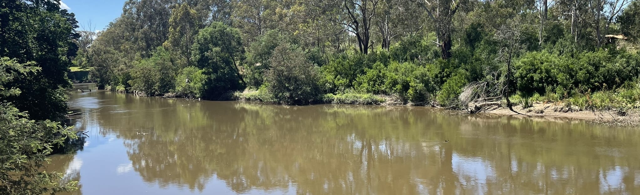 Eltham Park Loop: 33 Reviews, Map - Victoria, Australia | AllTrails