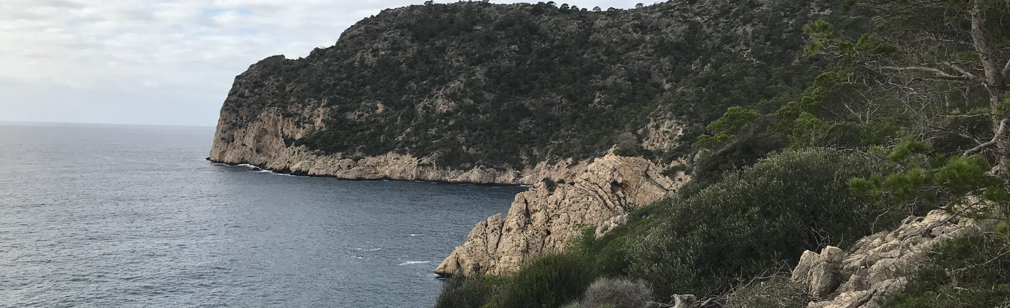 Cala Fornells - Caló d'en Monjo: 78 foto's - Majorca, Spanje | AllTrails
