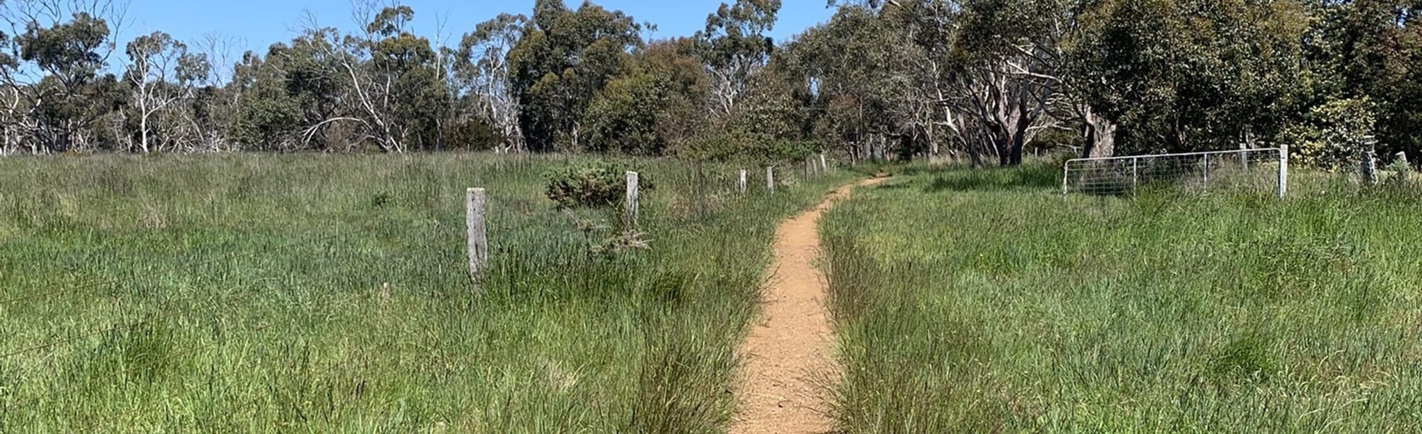 Tangara Trail Loop: 7 Reviews, Map - Tasmania, Australia | AllTrails