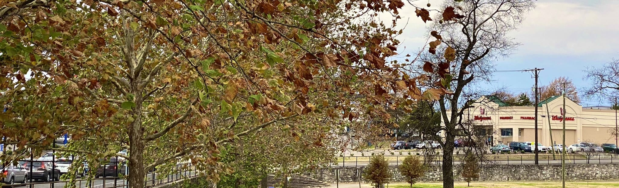 Coleman Park Path: 8 Reviews, Map - Tennessee | AllTrails