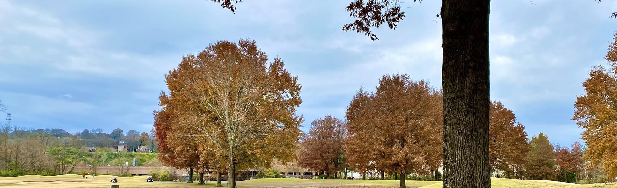 Ted Rhodes Park and MetroCenter Levee Greenway - Tennessee | AllTrails