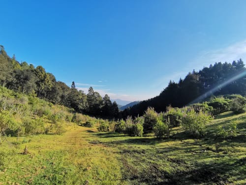 2023 Best Views Trails in Pico de Tancítaro | AllTrails