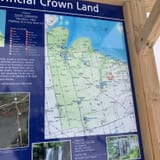 Metcalfe Rock Side Trail Loop, Ontario, Canada - 355 Reviews, Map ...