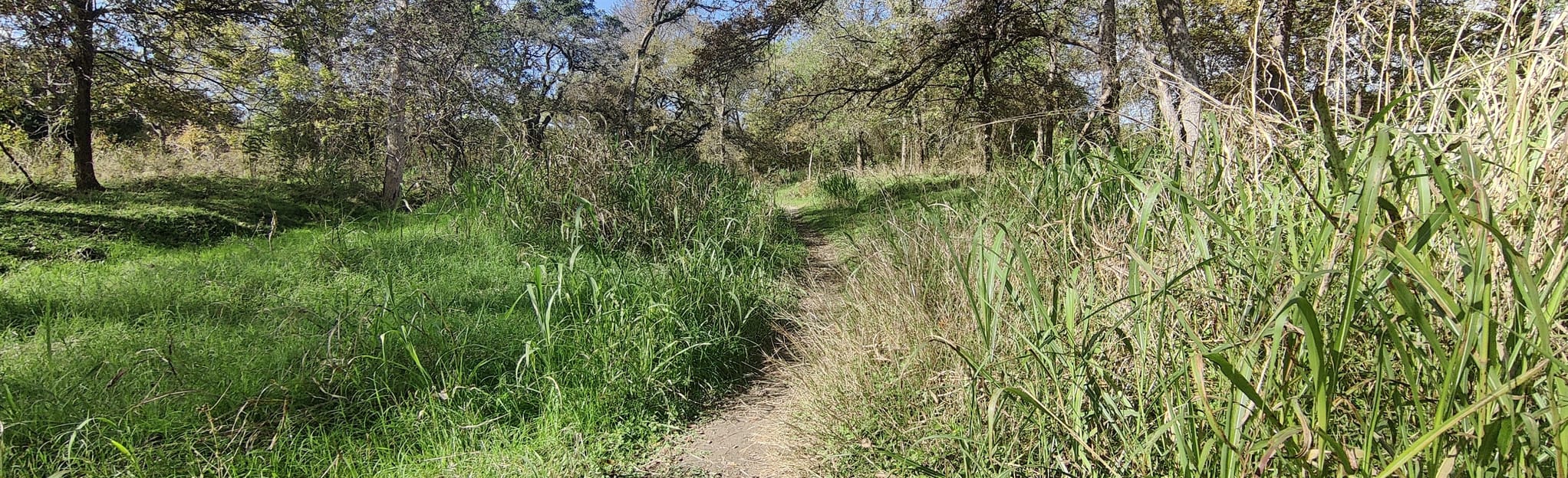 Lake Creek Trail - Texas | AllTrails