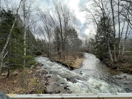 Best Hikes and Trails in Collingwood Corner | AllTrails