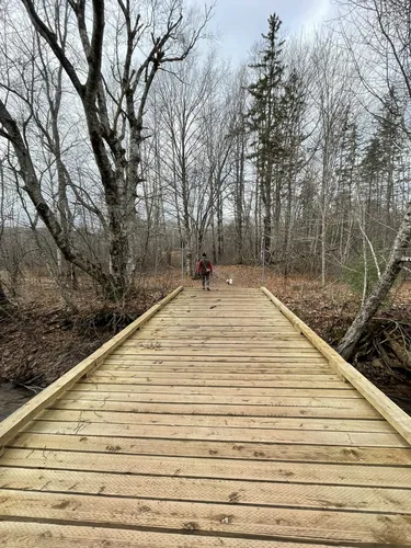 Best Forest Trails in Collingwood Corner | AllTrails