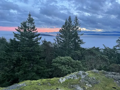 10 Best Trails and Hikes in Sooke | AllTrails