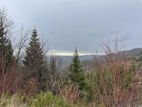 10 Best Off Road Driving Trails in Oregon | AllTrails