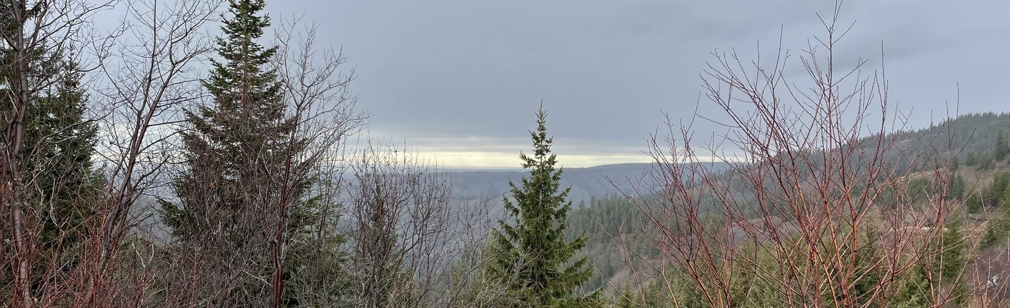 Tiger Canyon, Oregon - 37 Reviews, Map | AllTrails