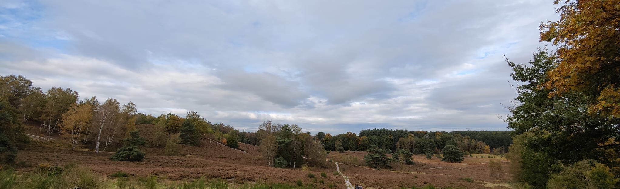 Brunssummerheide Lichtblauwe Wandelroute: 91 foto's - Limburg ...