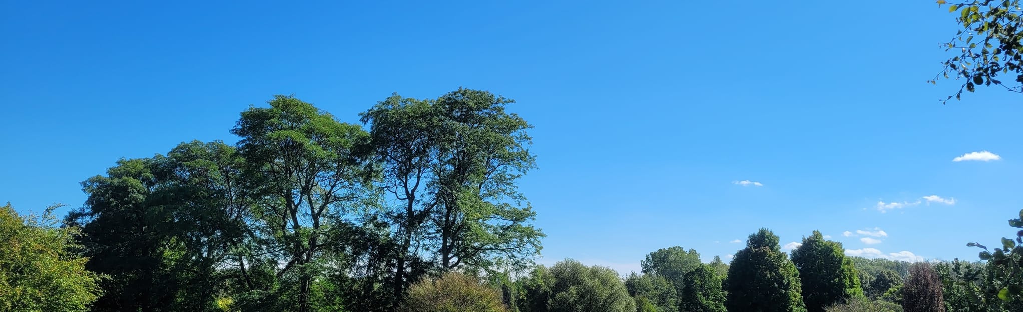 Grey Doe and Hickory Valley Trail: 34 Reviews, Map - Ontario, Canada ...