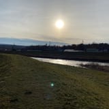 Levee Loop, Pennsylvania - 198 Reviews, Map | AllTrails