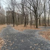 Levee Loop, Pennsylvania - 198 Reviews, Map | AllTrails