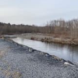 Levee Loop, Pennsylvania - 198 Reviews, Map | AllTrails