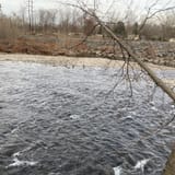 Levee Loop, Pennsylvania - 198 Reviews, Map | AllTrails