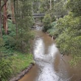 Old Beechy Rail Trail, Victoria, Australia - 36 Reviews, Map | AllTrails