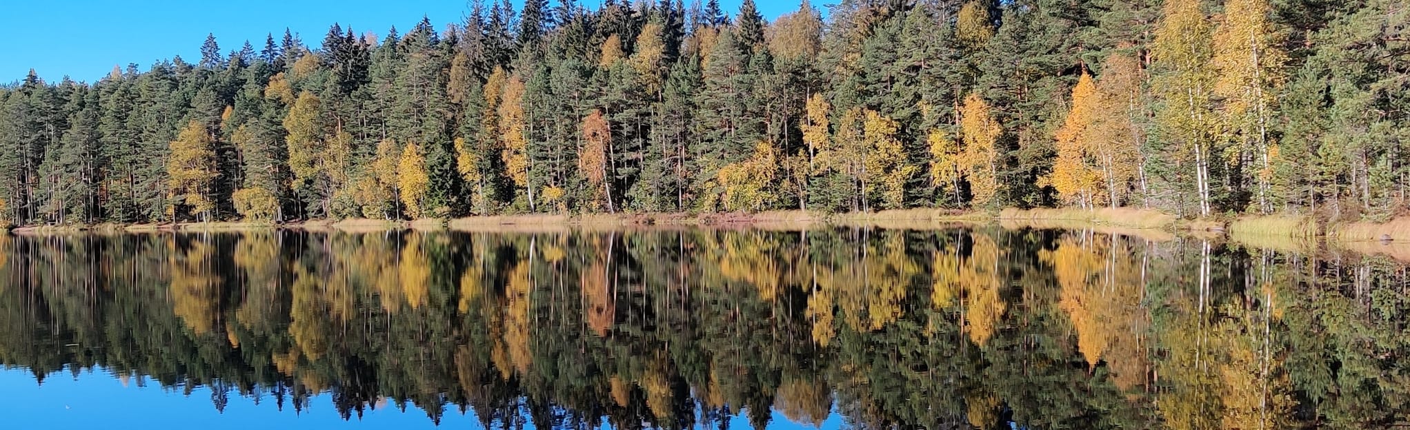 Kurikkakallio Nature Trail: 2 Reviews, Map - Pirkanmaa, Finland | AllTrails