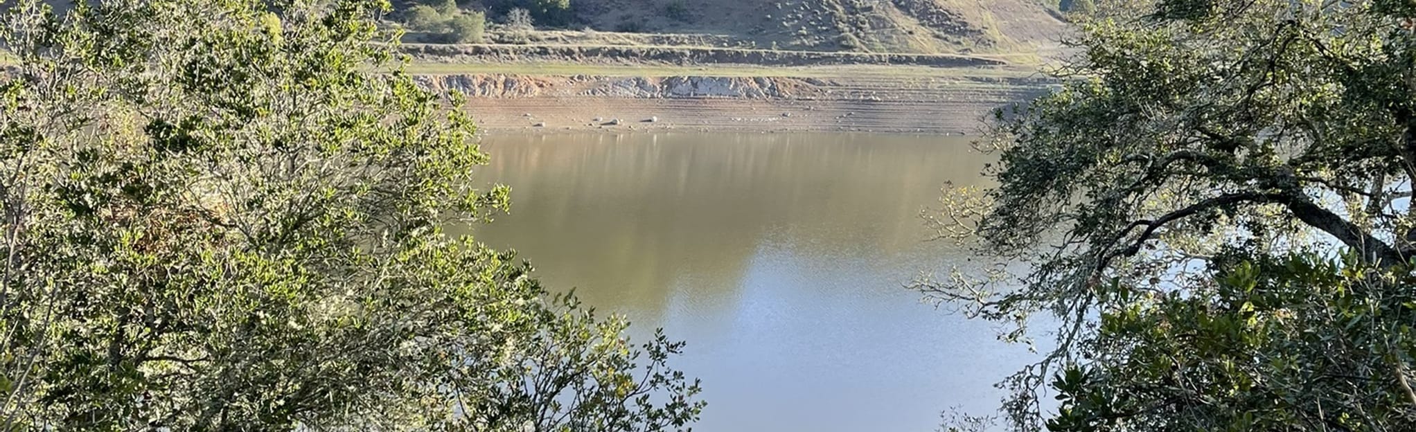 Uvas Reservoir Peninsula Trail: 24 Reviews, Map - California | AllTrails