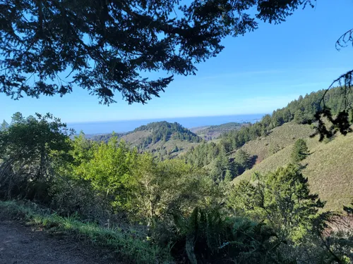 10 Best Hikes and Trails in Purisima Creek Redwoods Open Space Preserve ...