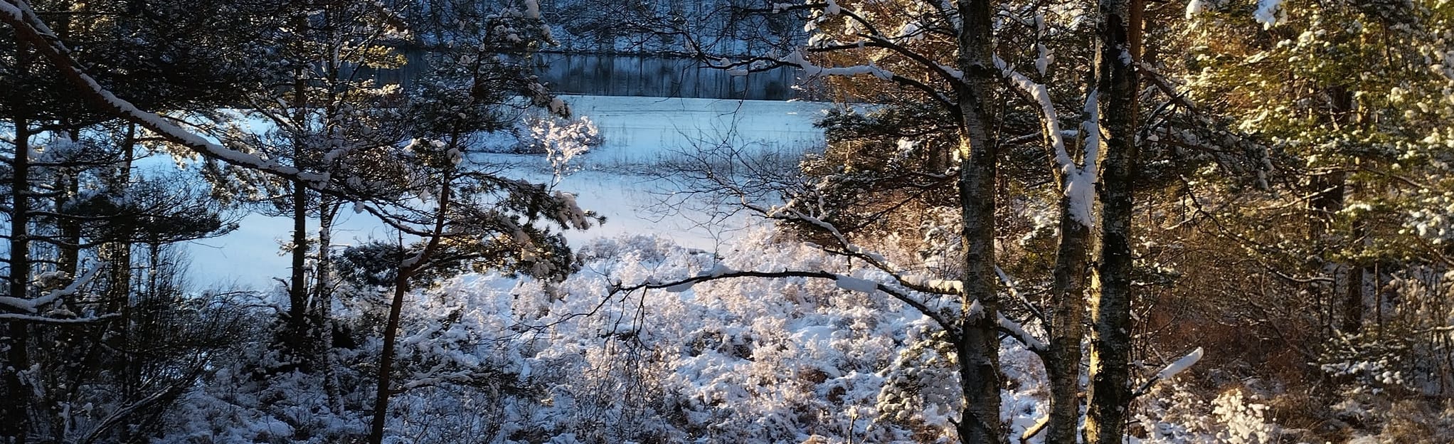 Furulund Gul: 12 Fotos - Västra Götaland, Schweden | AllTrails