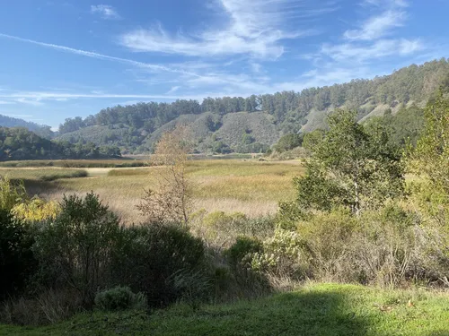 10 Best Trails and Hikes in Castro Valley | AllTrails